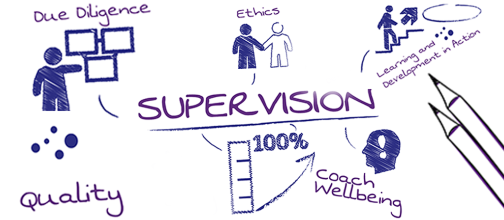 Supervision as a key role of maintaining professional standards of ...
