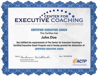Coach Training – Daiana Stoicescu